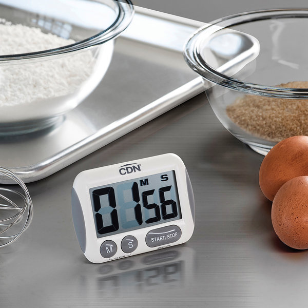 CDN Extra Big Digit Timer & Reviews | Wayfair